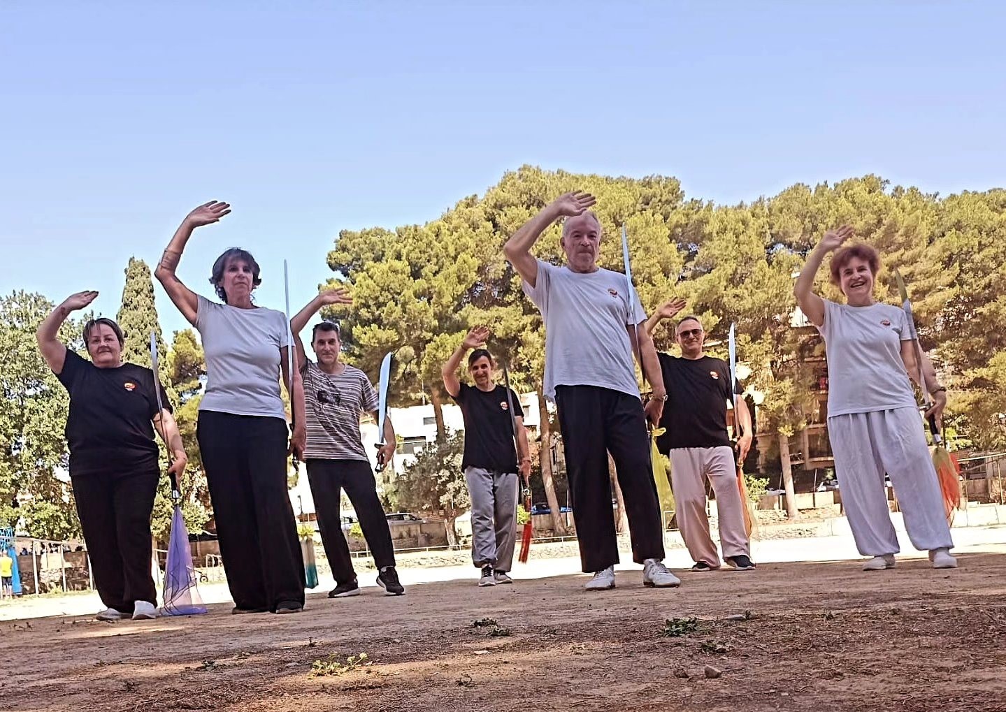 Curso Kung Fu Taiji Quan Sóller (Baleares) - Departamento Nacional Kung Fu