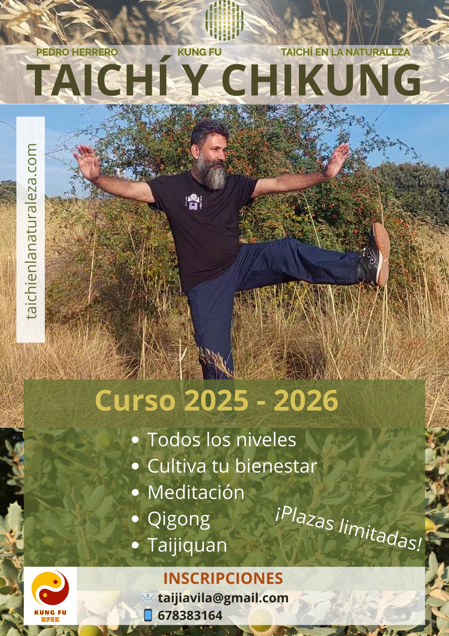 Kung Fu Taiji Quan & Chi Kung Ávila - Departamento Nacional Kung Fu